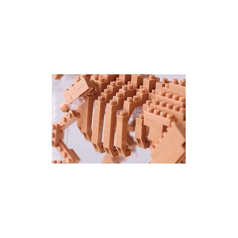 Boite Nanoblock - T-rex Skeleton NBM-012